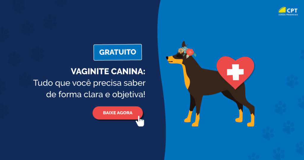 Infografico-vaginite-canina-pop-up - Portal para Profissionais Veterinários