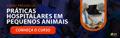 Tumor Venéreo Transmissível (TVT) em Cães