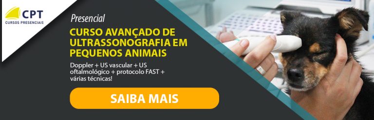Tumor Venéreo Transmissível (TVT) em Cães