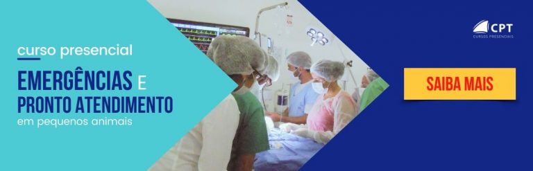 Tumor Venéreo Transmissível (TVT) em Cães