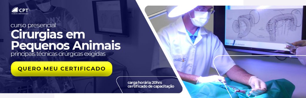 Tumor Venéreo Transmissível (TVT) em Cães